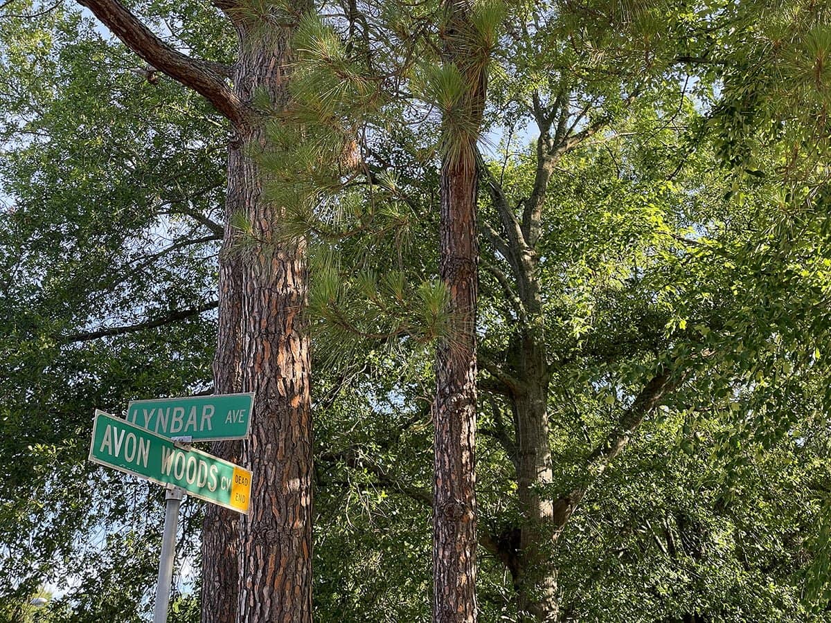 Avon Woods Neighborhood – Where Neighbors Thrive and Community Blooms!