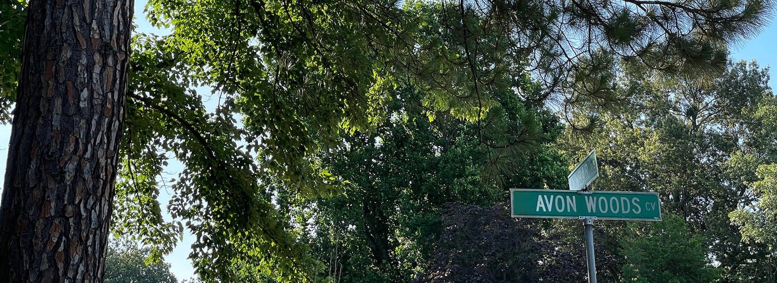 About Us – Avon Woods Neighborhood